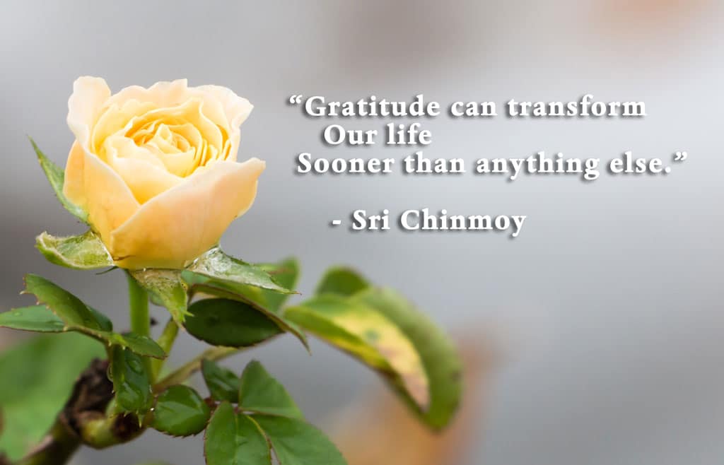 Home -Sri Chinmoy Quotes